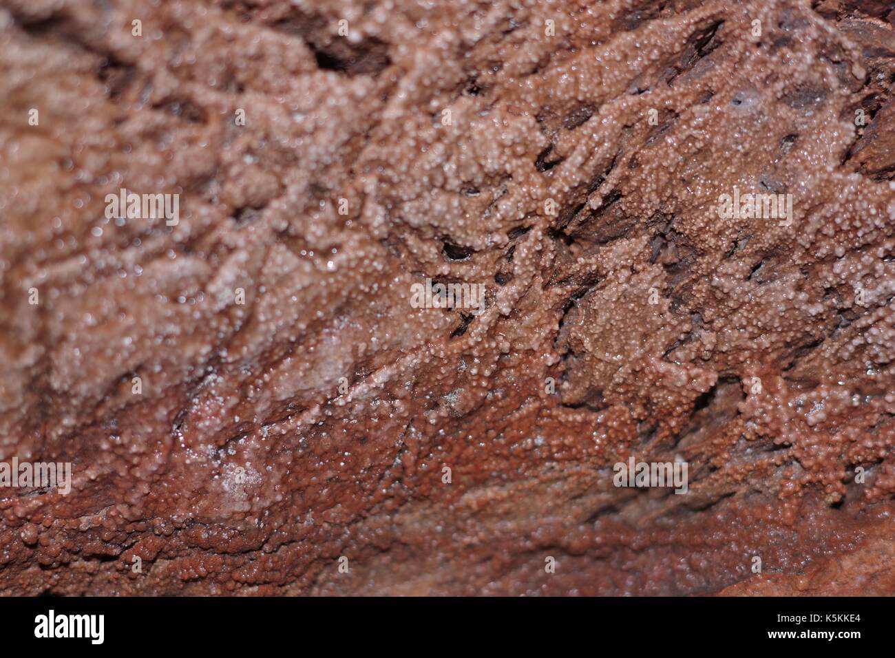 Brixham Cavern, Windmill Hill Bone Cave. An Ancient Monument ...
