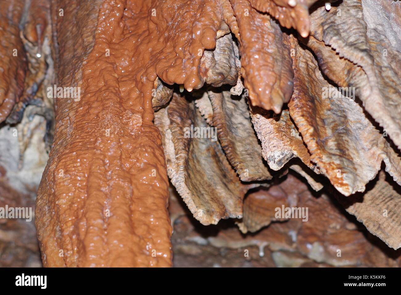Brixham Cavern, Windmill Hill Bone Cave. An Ancient Monument ...
