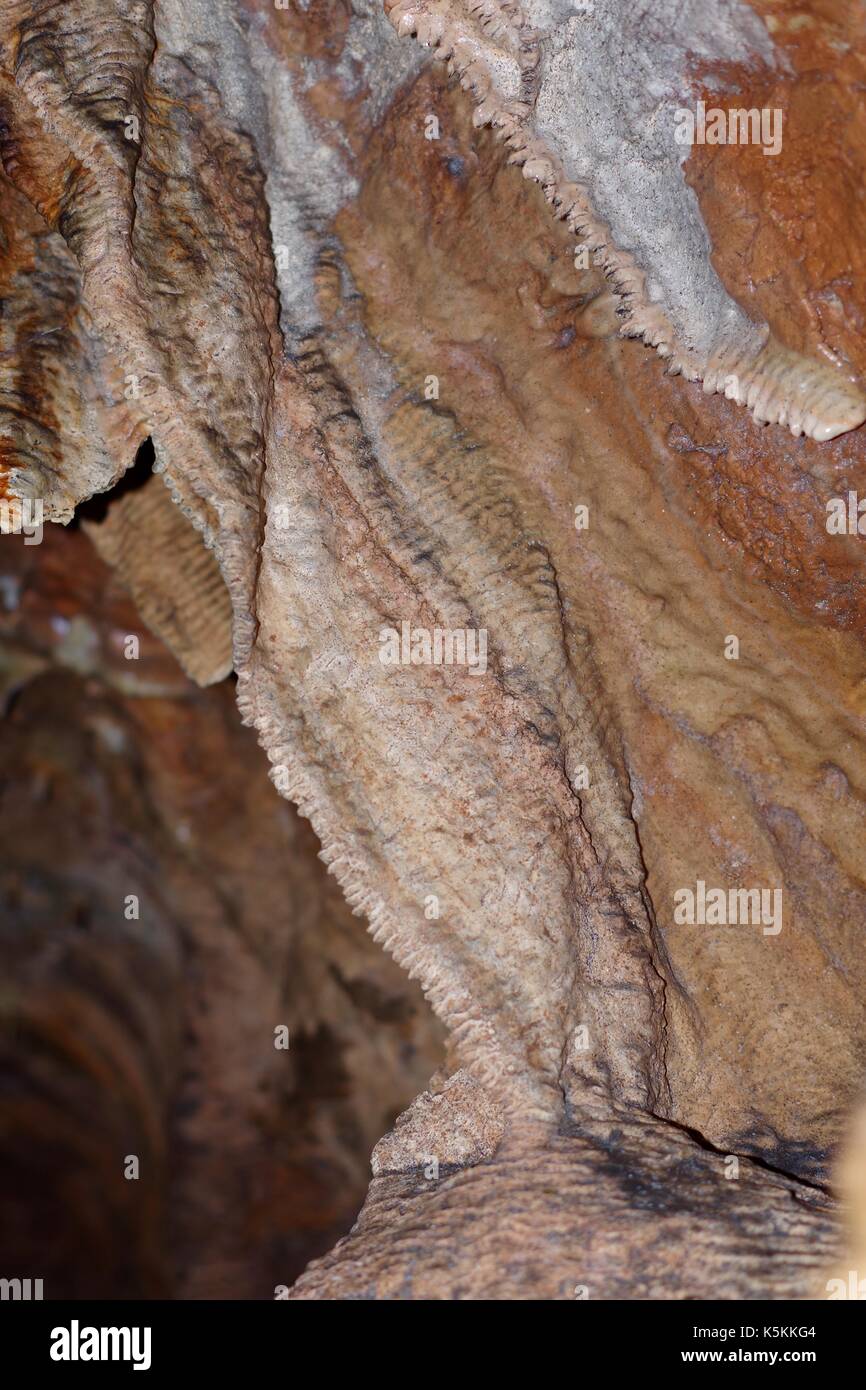 Brixham Cavern, Windmill Hill Bone Cave. An Ancient Monument ...