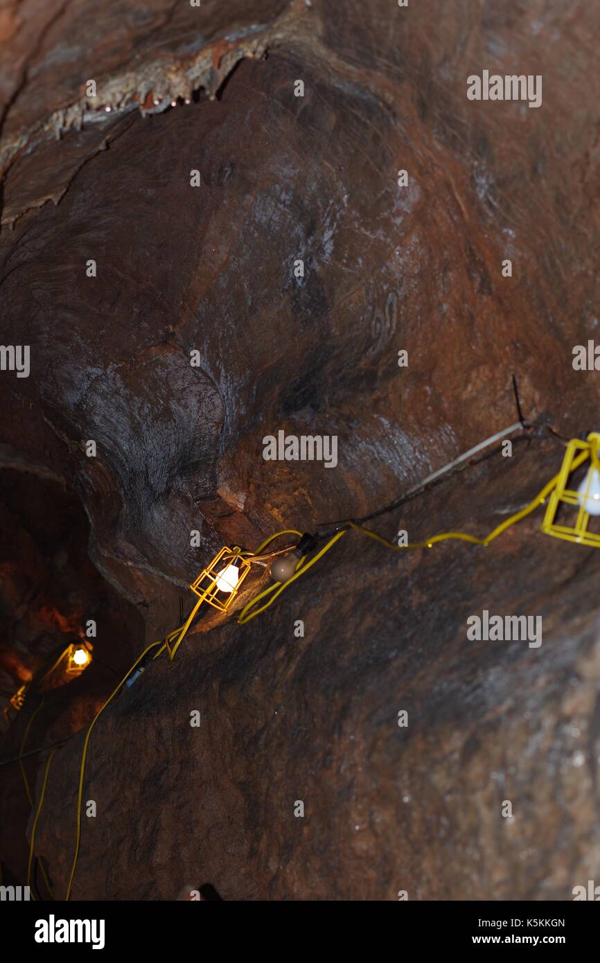 Brixham Cavern, Windmill Hill Bone Cave. An Ancient Monument ...