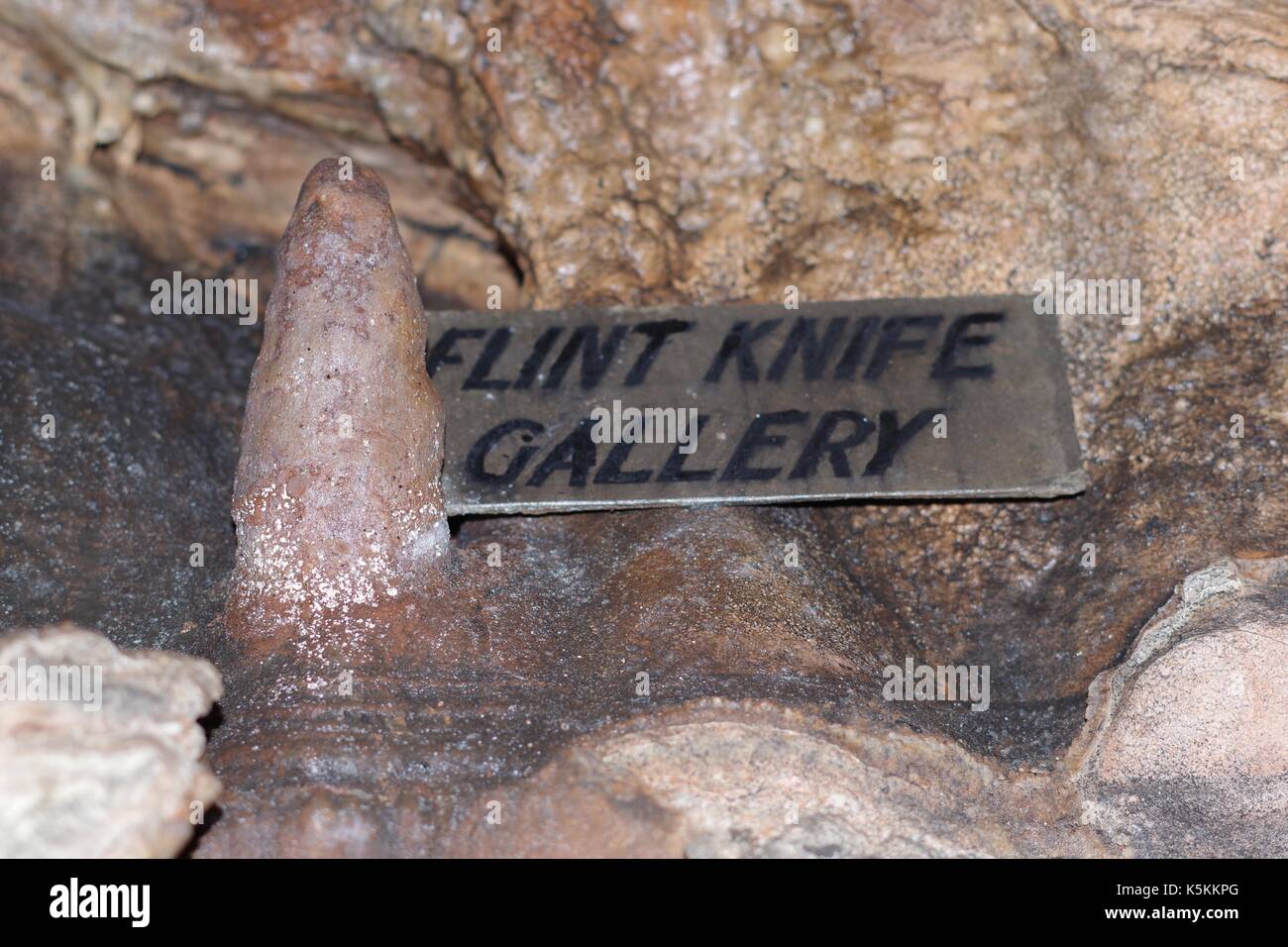 Brixham Cavern, Windmill Hill Bone Cave. An Ancient Monument ...