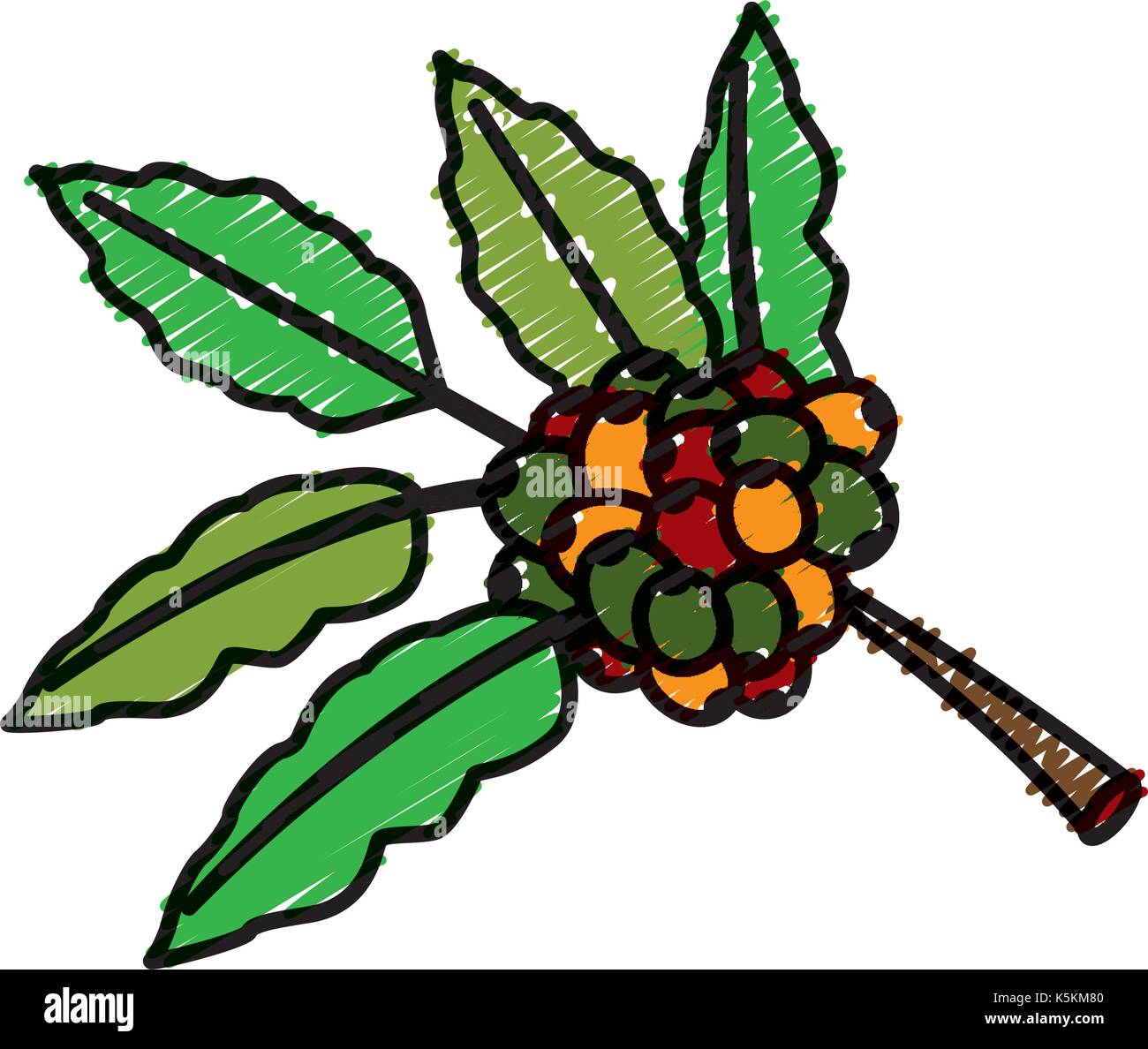 branch coffee leaf Stock Vector Image & Art - Alamy