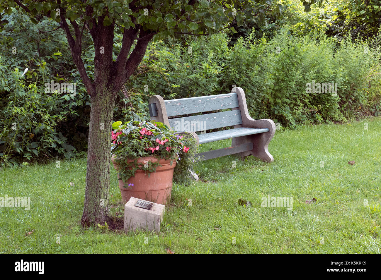 Outdoor scene with bench Stock Photo - Alamy