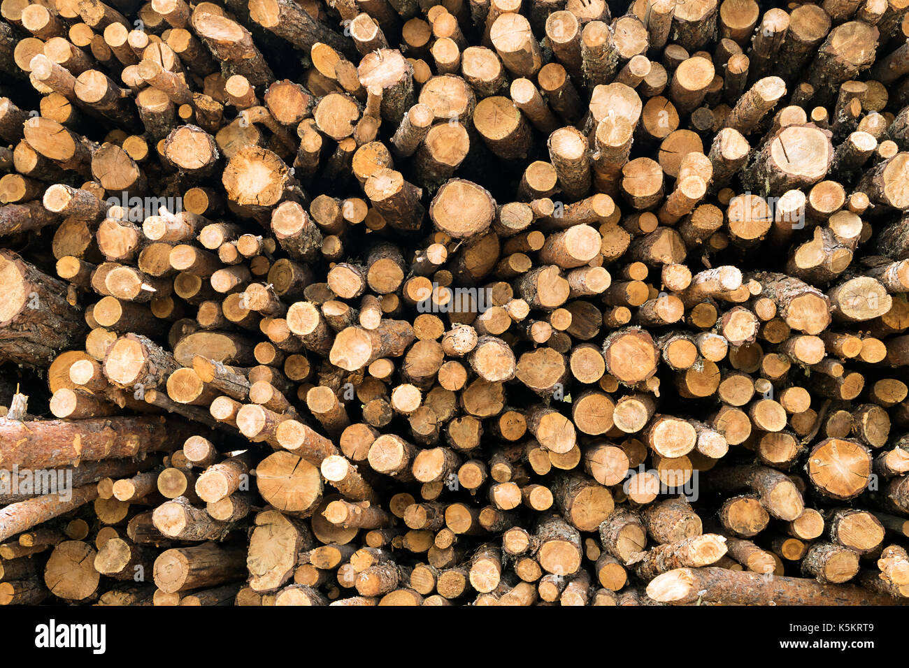 Tree trunks stacked hi-res stock photography and images - Alamy