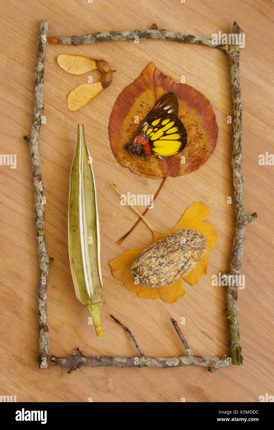 Still life of nature samples Stock Photo - Alamy