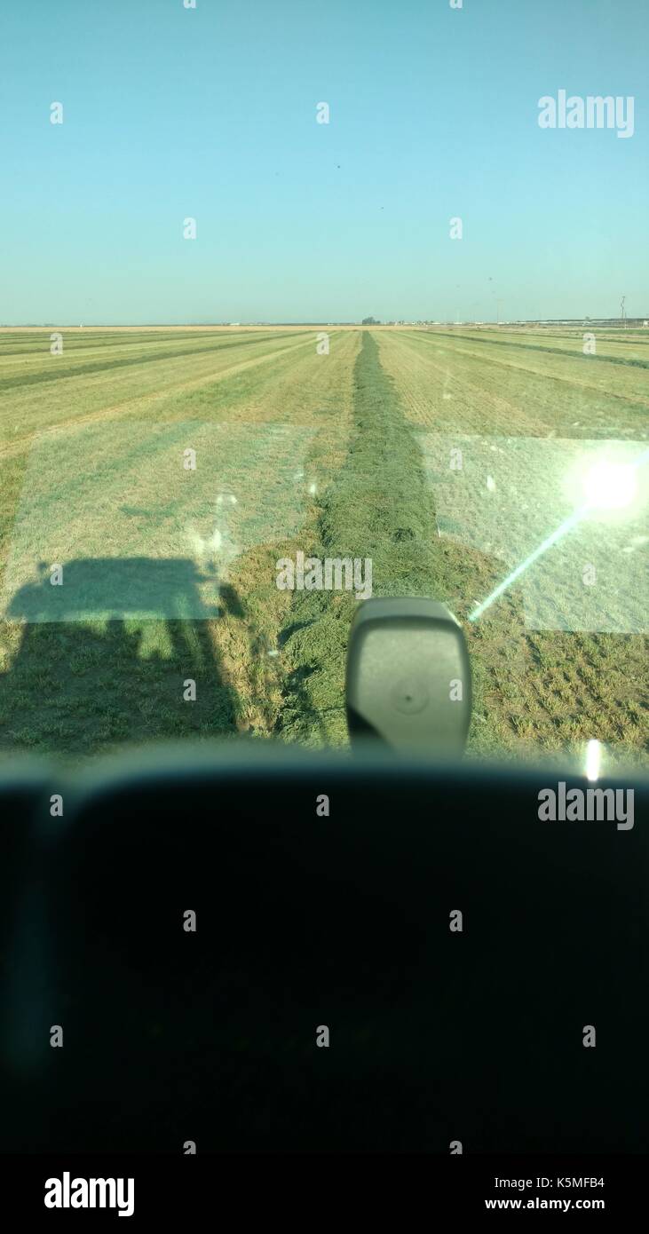 Field chopper hi-res stock photography and images - Alamy