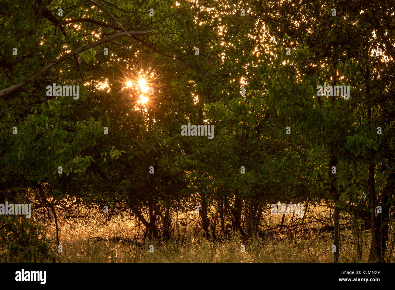 Early morning sun highlights hi-res stock photography and images - Alamy