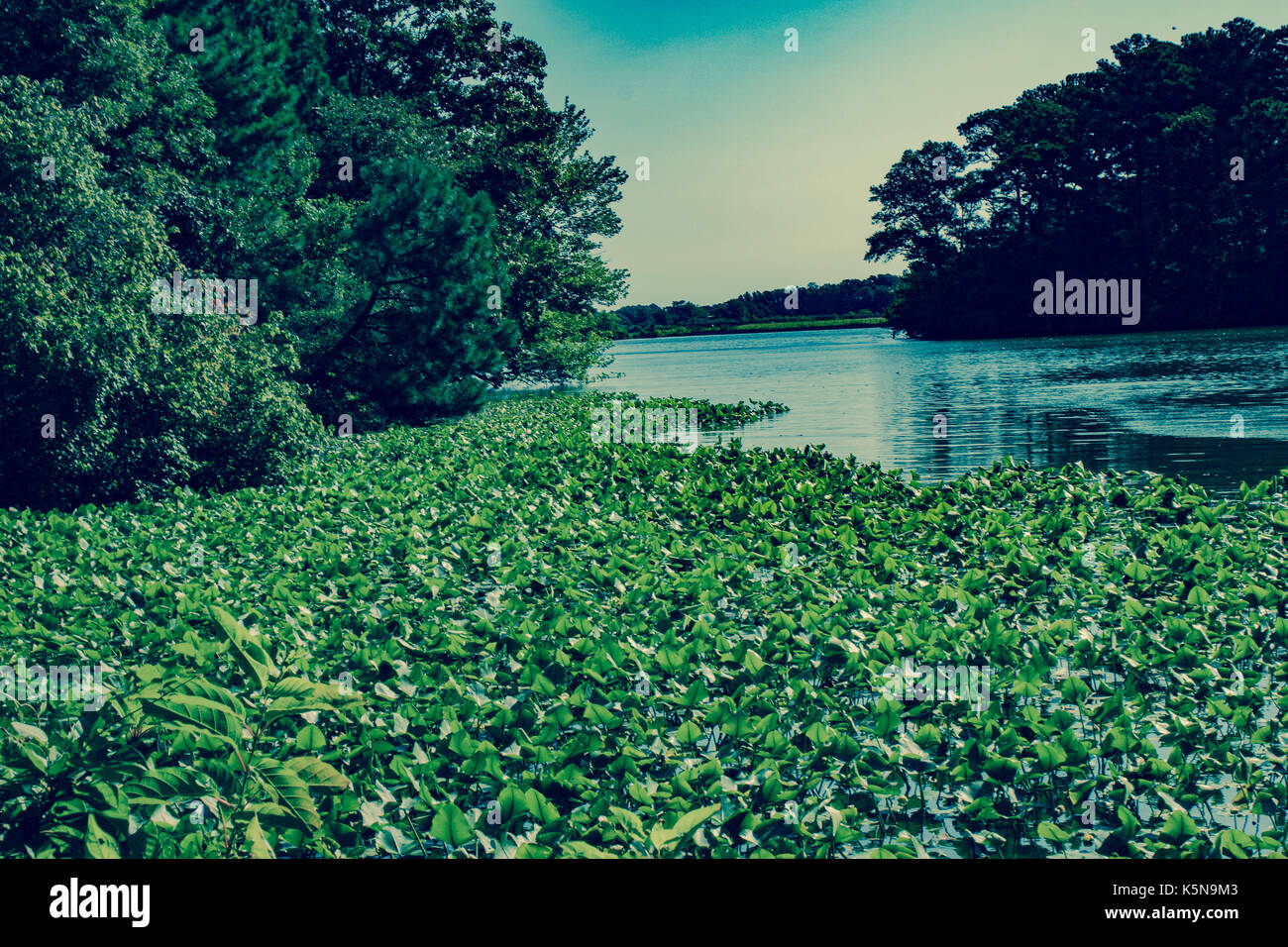 Quick landscape hi-res stock photography and images - Alamy