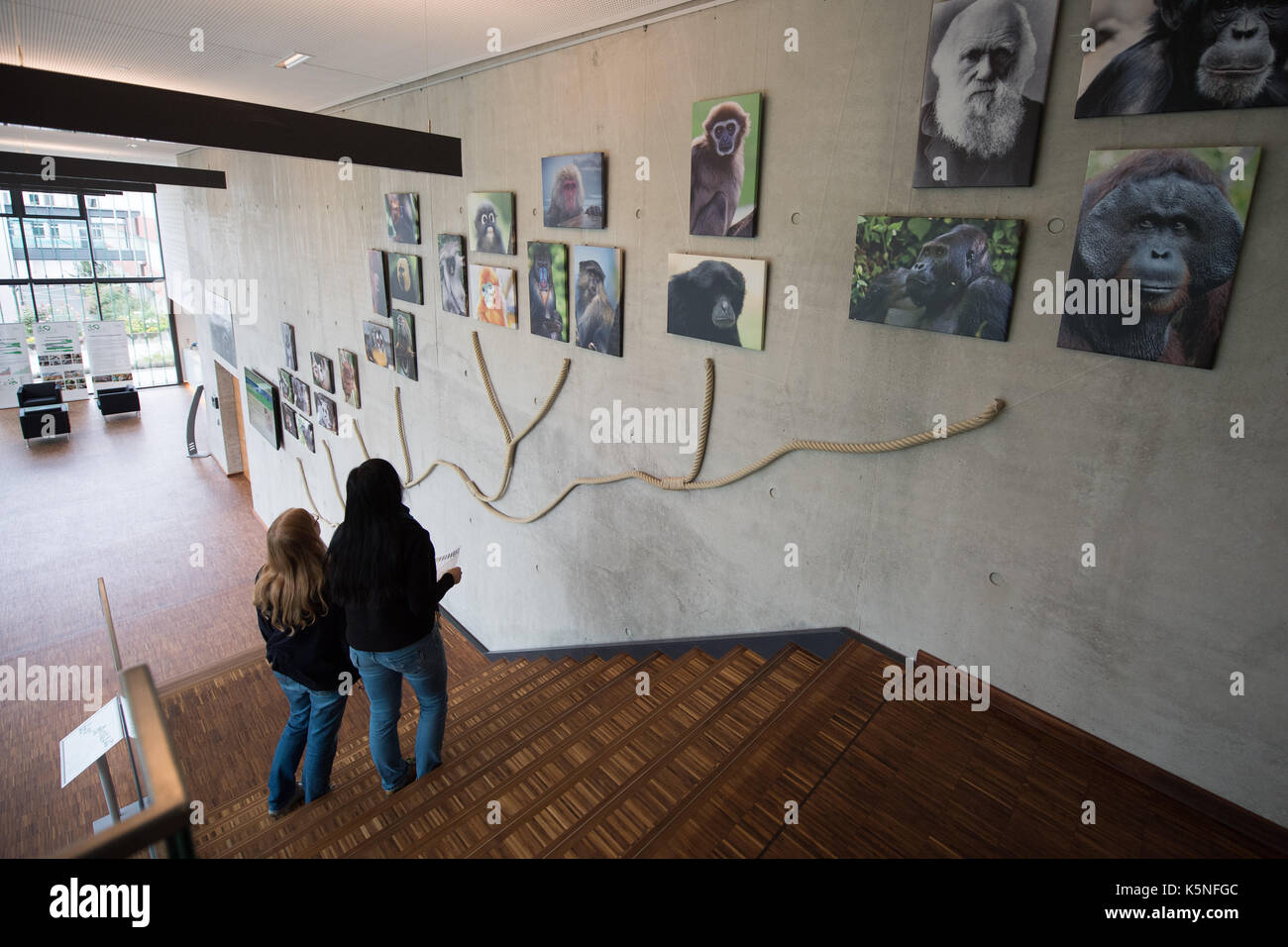 Goettingen, Germany. 7th Sep, 2017. Two employees of the German Primate ...