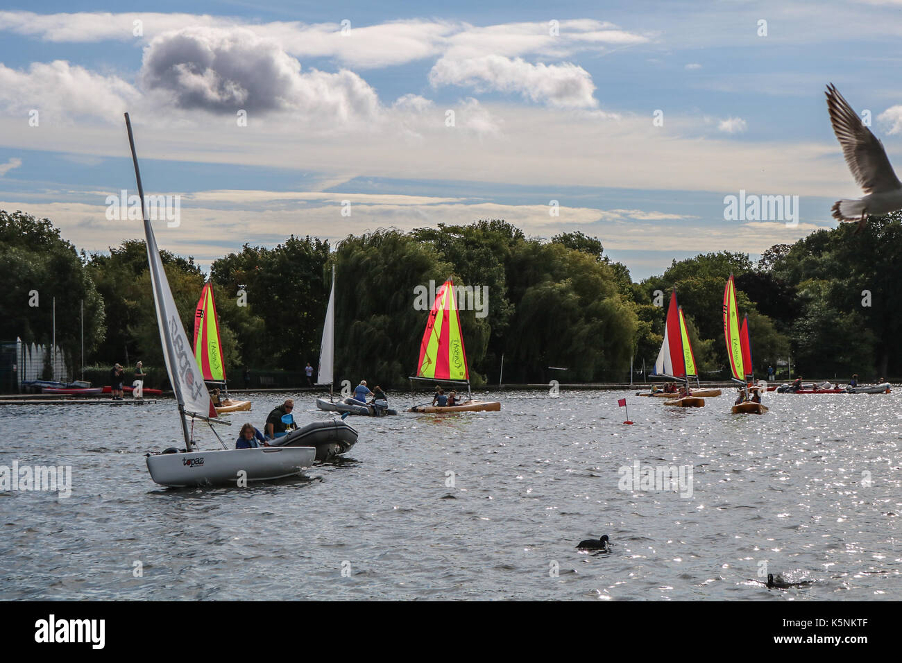 Wimbledon park lake hi-res stock photography and images - Alamy