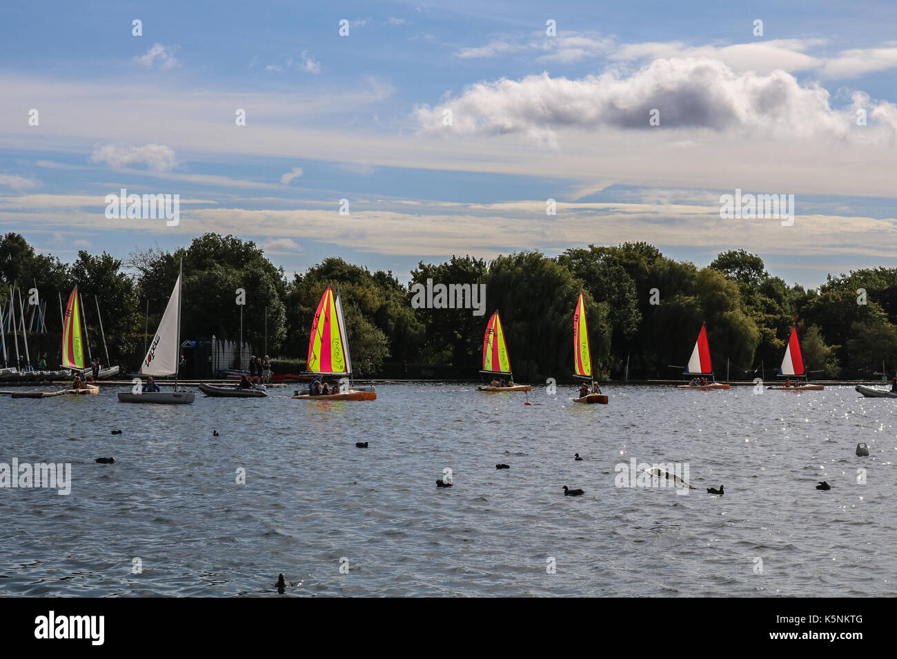 Wimbledon park lake hi-res stock photography and images - Alamy