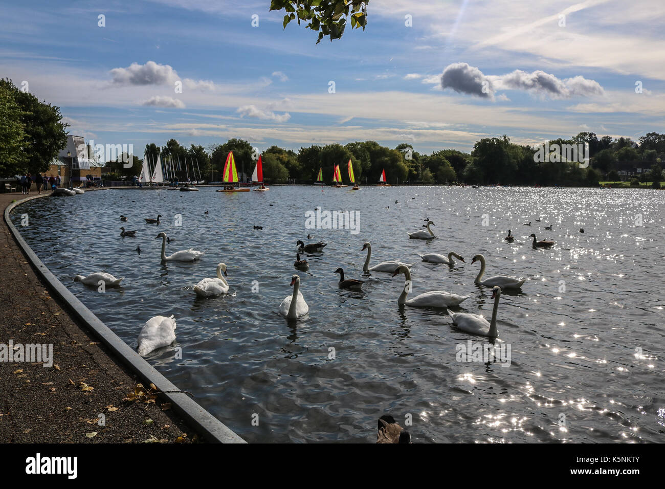 Wimbledon park lake hi-res stock photography and images - Alamy