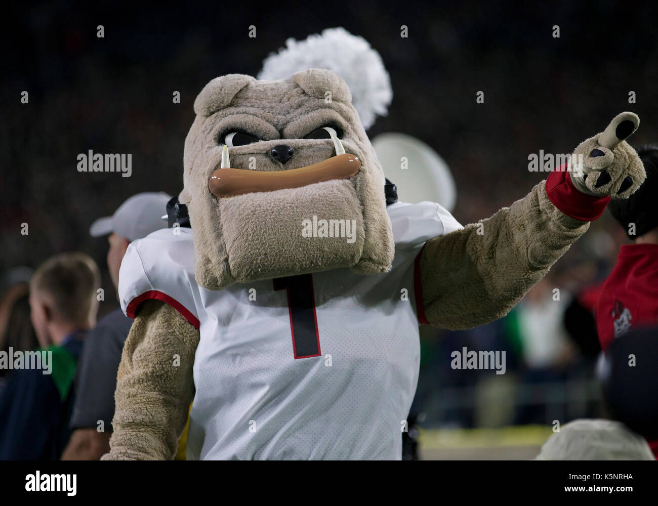 South Bend, Indiana, USA. 09th Sep, 2017. Georgia mascot performs ...