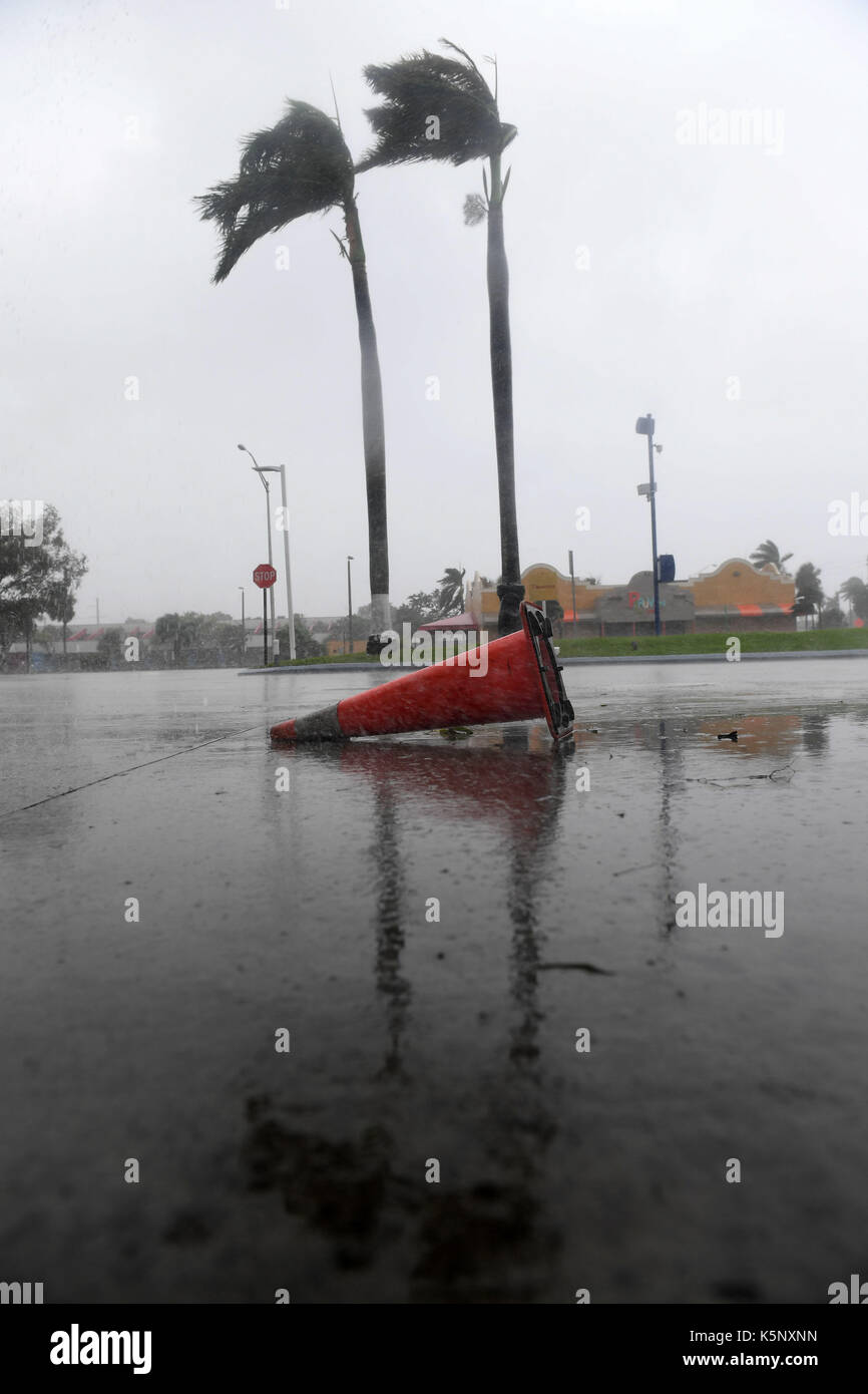 Miami, USA. 10th Sep, 2017. Palm trees are blown around by strong winds ...