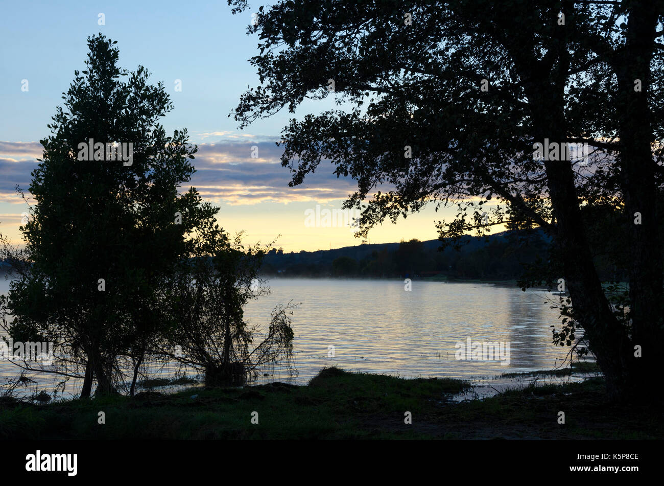 Dawn at Lake Rotorua, New Zealand Stock Photo - Alamy