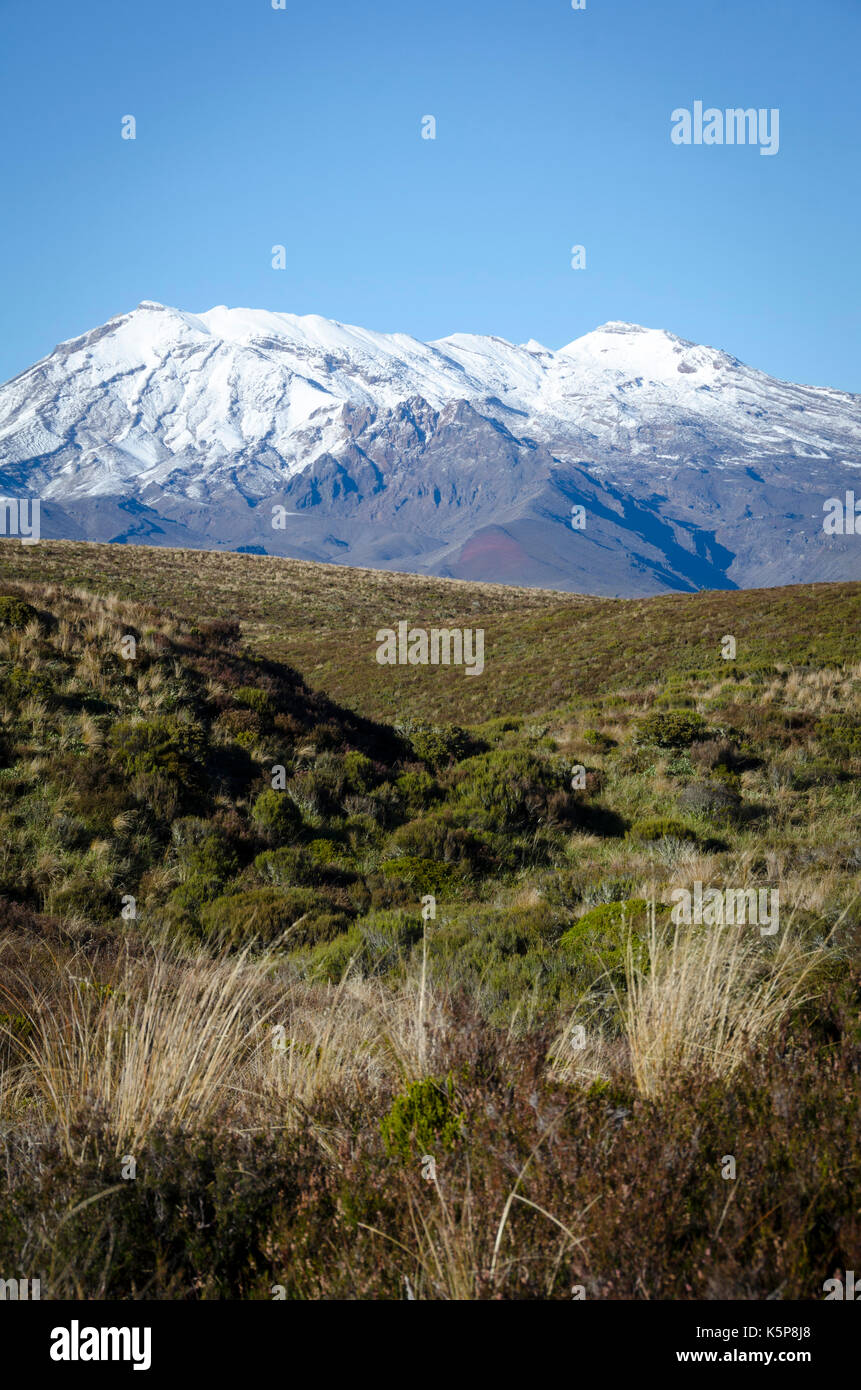 Mount Ruapehu, Tongariro National Park, North Island, New Zealand Stock ...