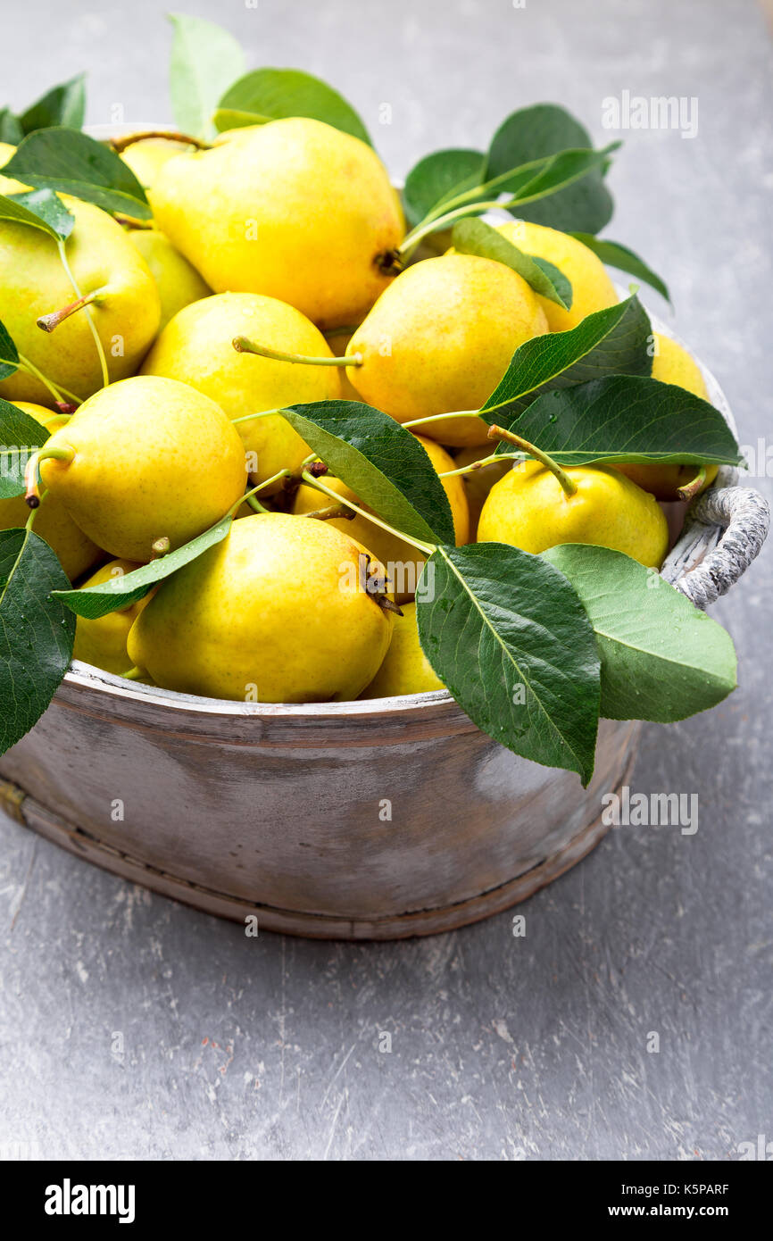 Yellow pear in grey basket in grey background. Harvest. Close up. Full ...