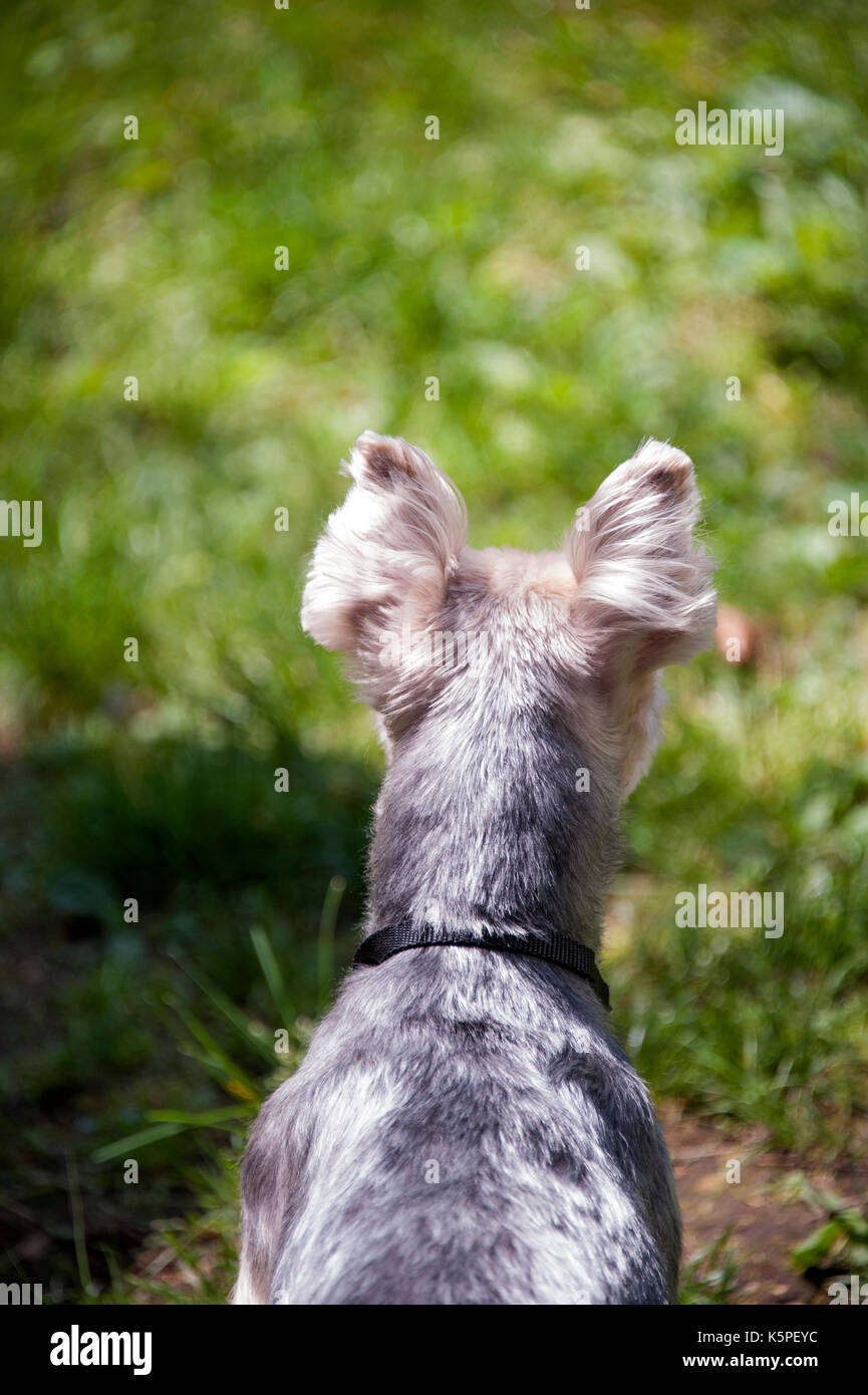 Emotional distance hi-res stock photography and images - Alamy