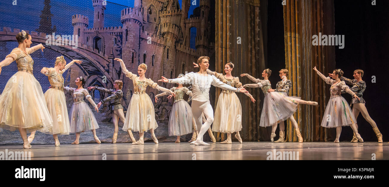 Russian Ballet swan lake Stock Photo - Alamy