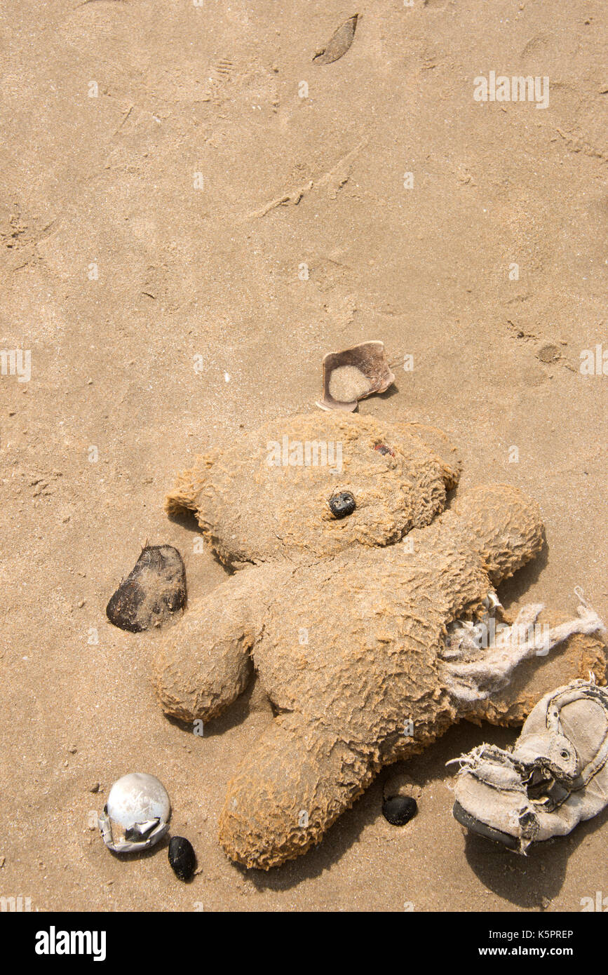 Destroyed Teddy Bear