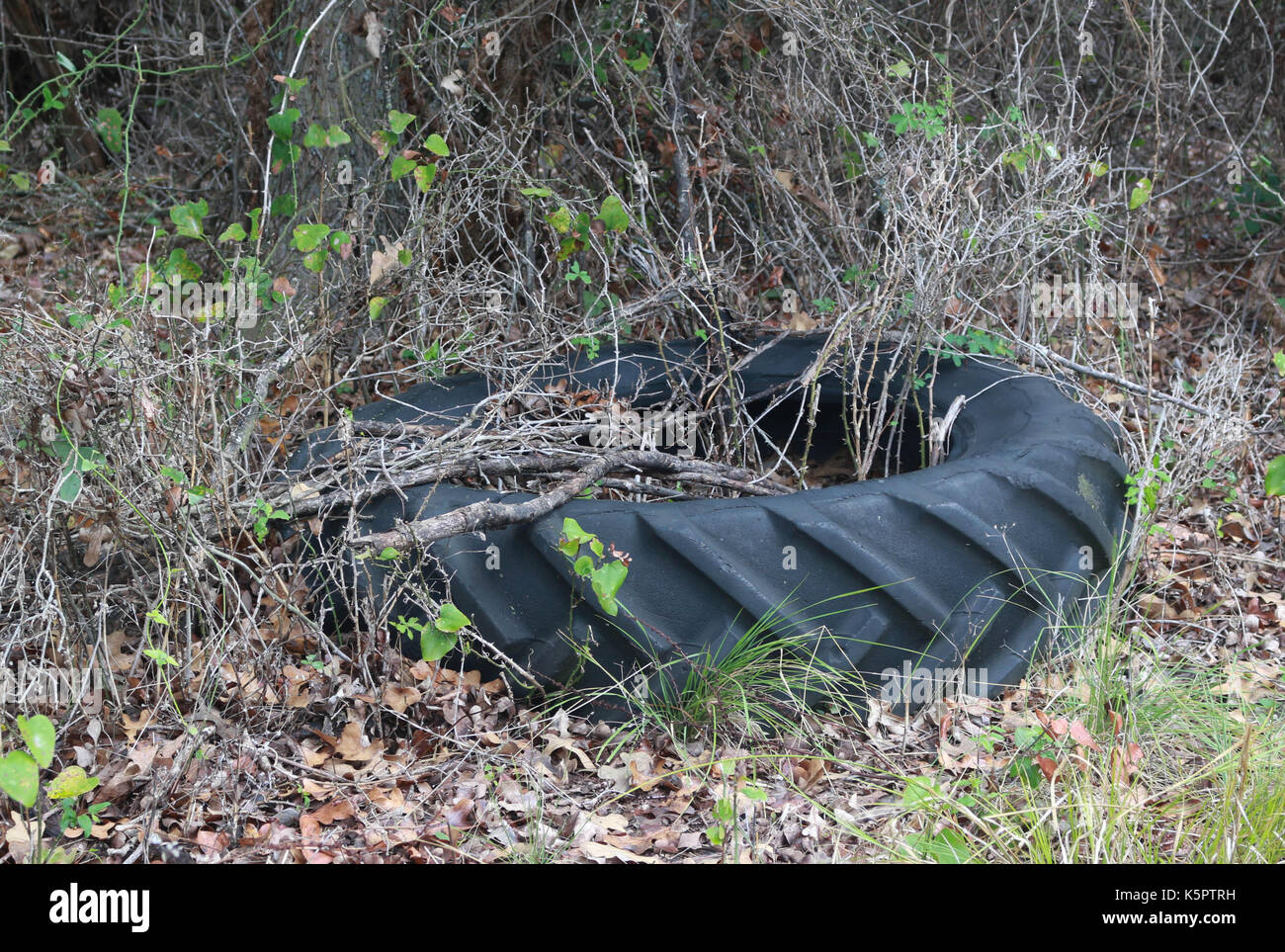 Large Tractor Tire Stock Photo - Alamy