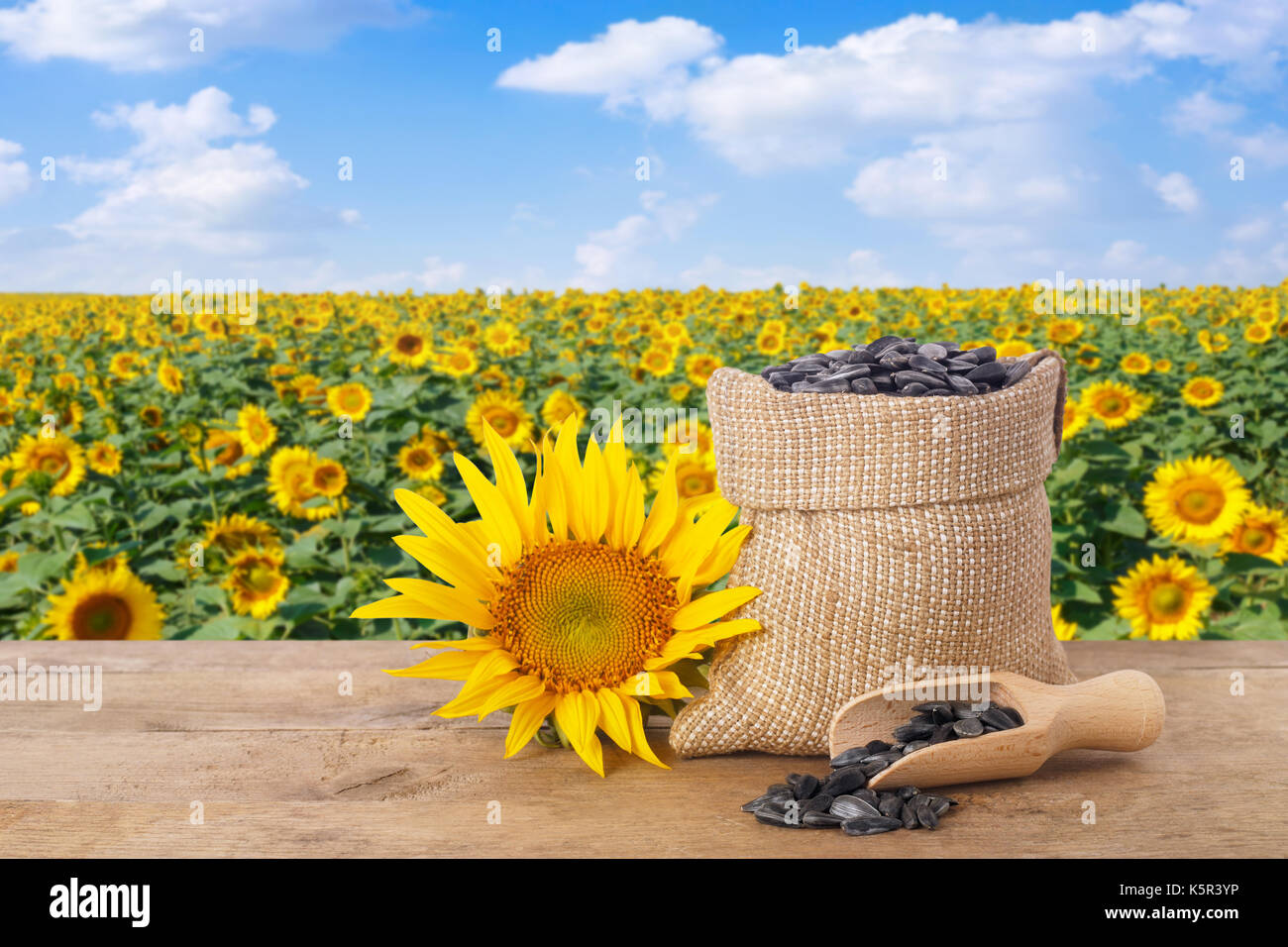 Jute seed hi-res stock photography and images - Alamy