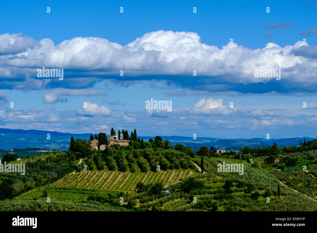 Typical tuscanian landscape with a farmhouse on a hill, vineyards and ...