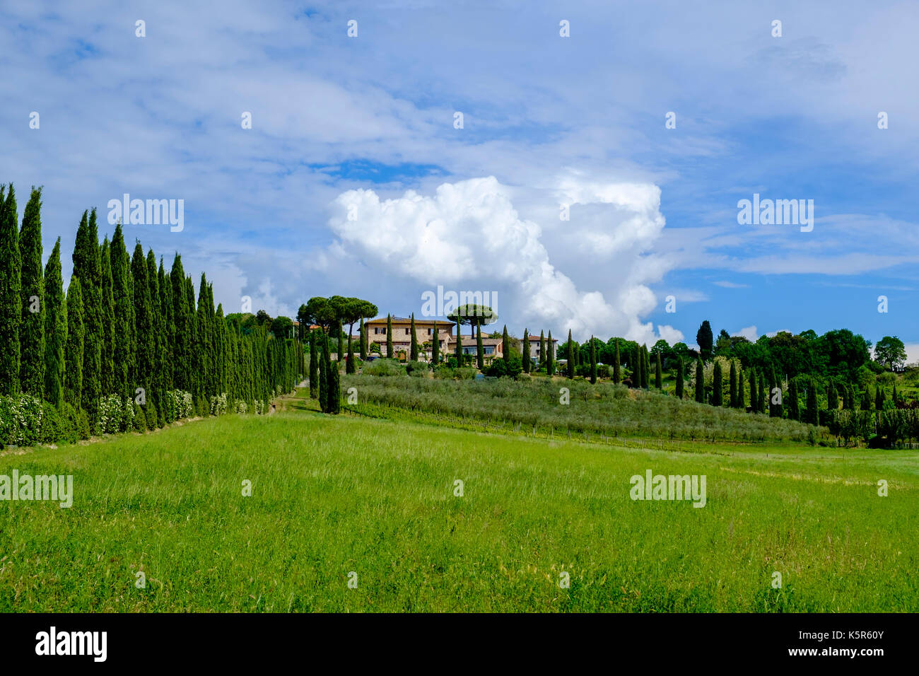 Typical tuscanian landscape with a farmhouse on a hill, cypresses and ...