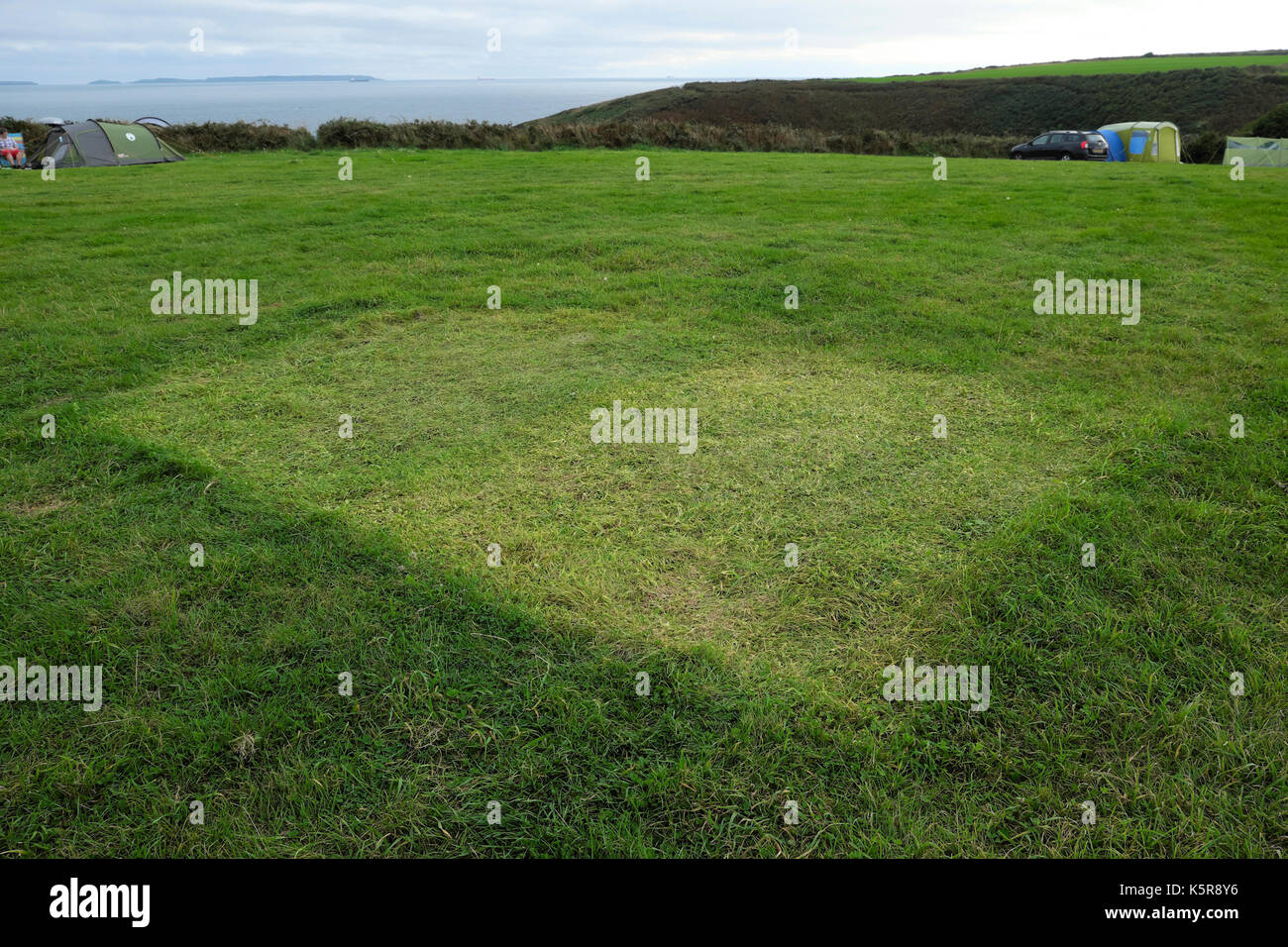 Ghost grass hi-res stock photography and images - Alamy