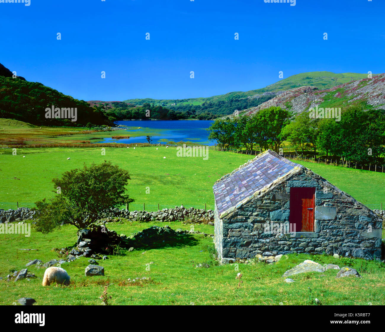 Cwm bychan summer hi-res stock photography and images - Alamy