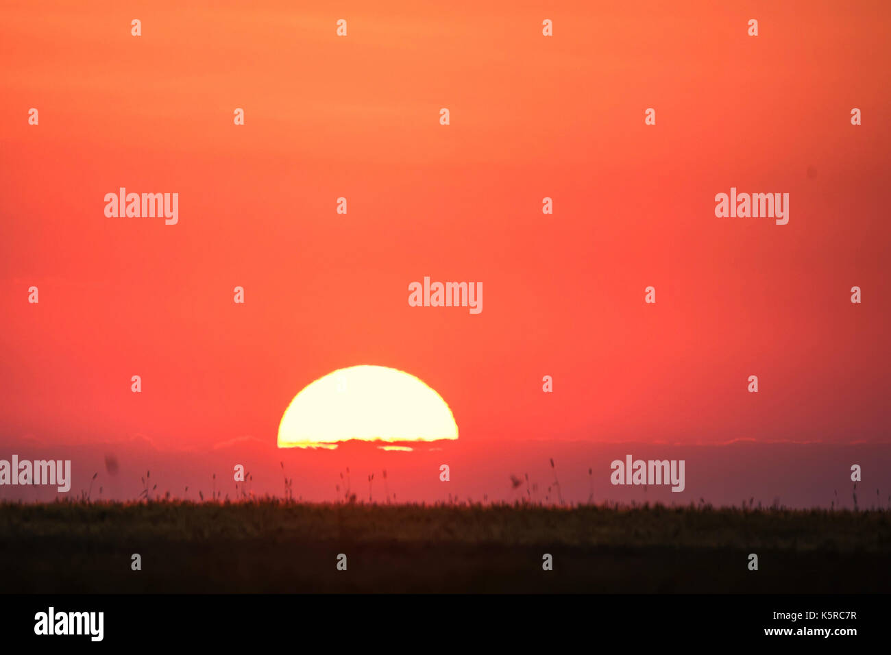Horizon line with sun setting Stock Photo - Alamy