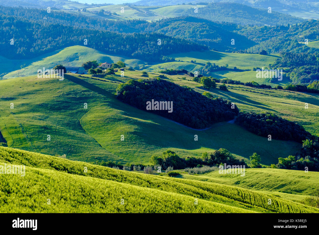 Typical tuscanian landscape with green hills, bushes and trees in Val ...