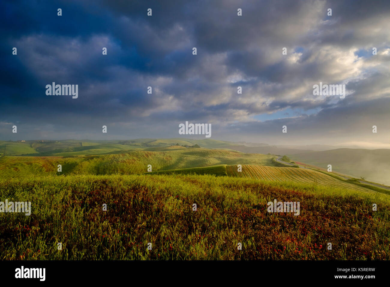 Typical tuscanian landscape with green hills, bushes and dramatic ...
