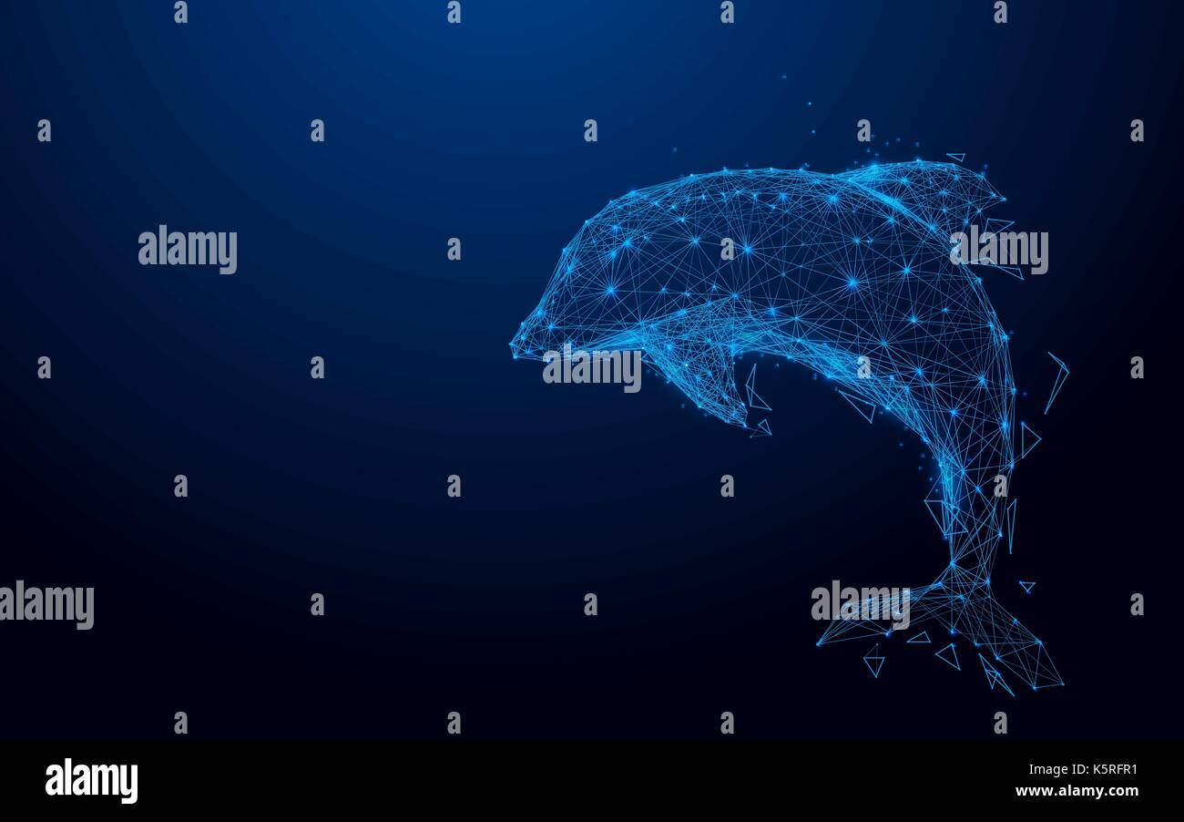 Wireframe dolphin mesh from a starry on blue background Stock Vector ...