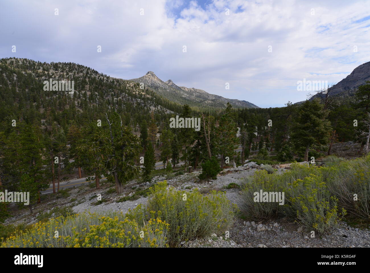 Road with hidden valleys hi-res stock photography and images - Alamy