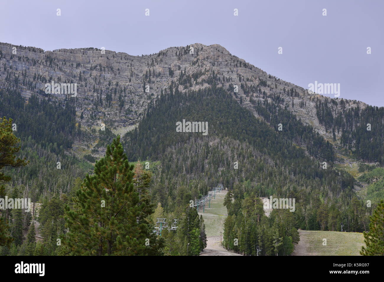 Mount Charleston in Nevada in Fall Stock Photo - Alamy