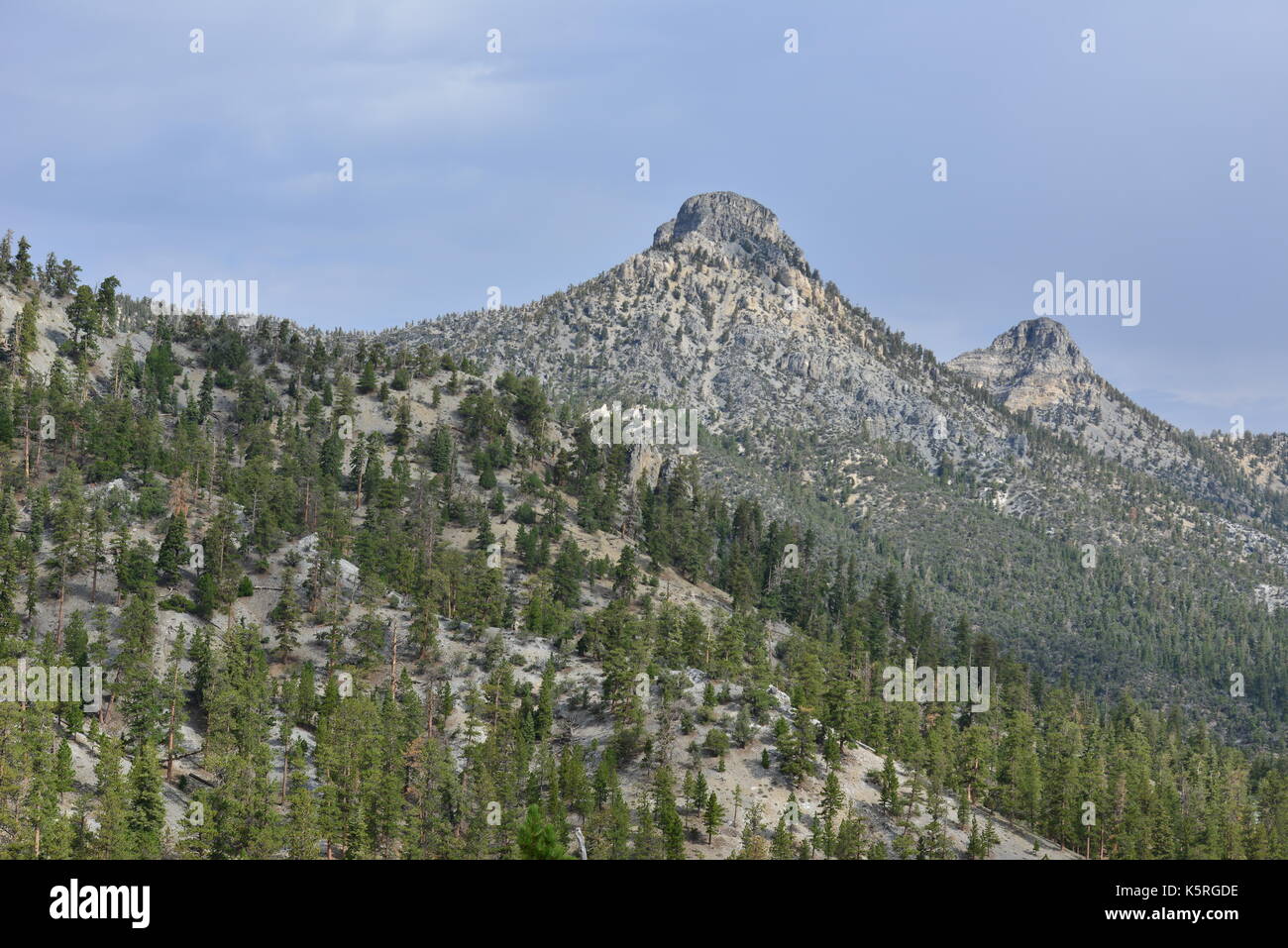 Mount Charleston in Nevada in Fall Stock Photo - Alamy