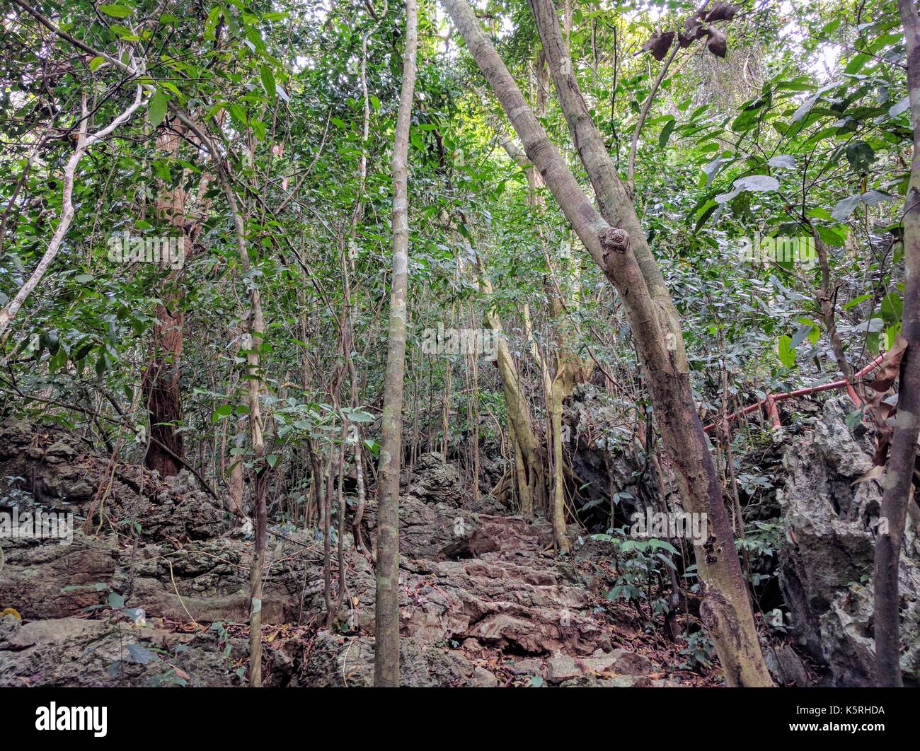 Cat ba hiking hi-res stock photography and images - Alamy