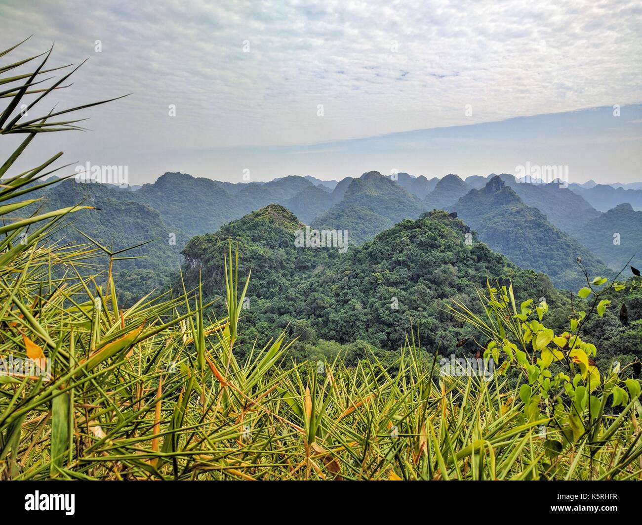 Cat ba hiking hi-res stock photography and images - Alamy