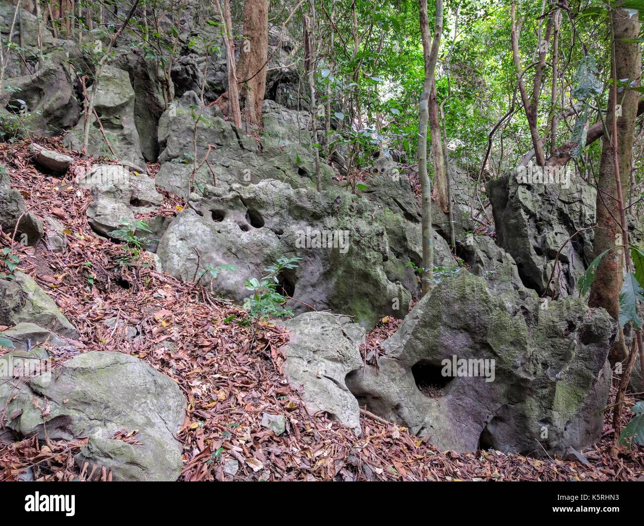 Cat ba hiking hi-res stock photography and images - Alamy