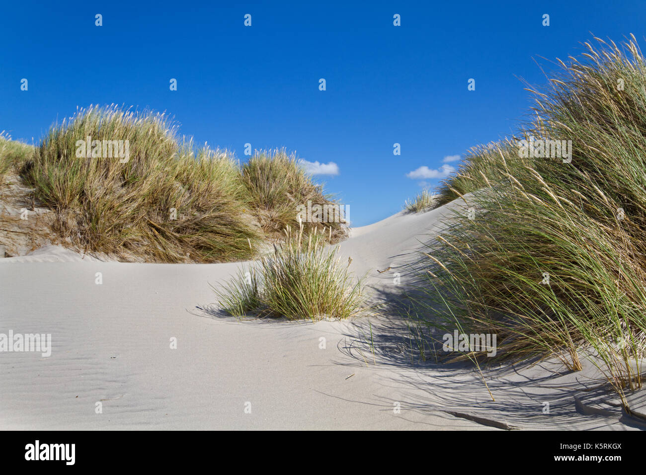 Windy dunes hi-res stock photography and images - Alamy