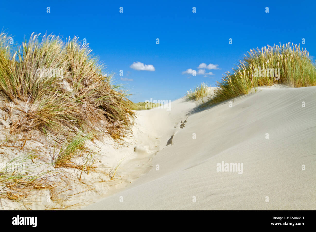 Windy dunes hi-res stock photography and images - Alamy