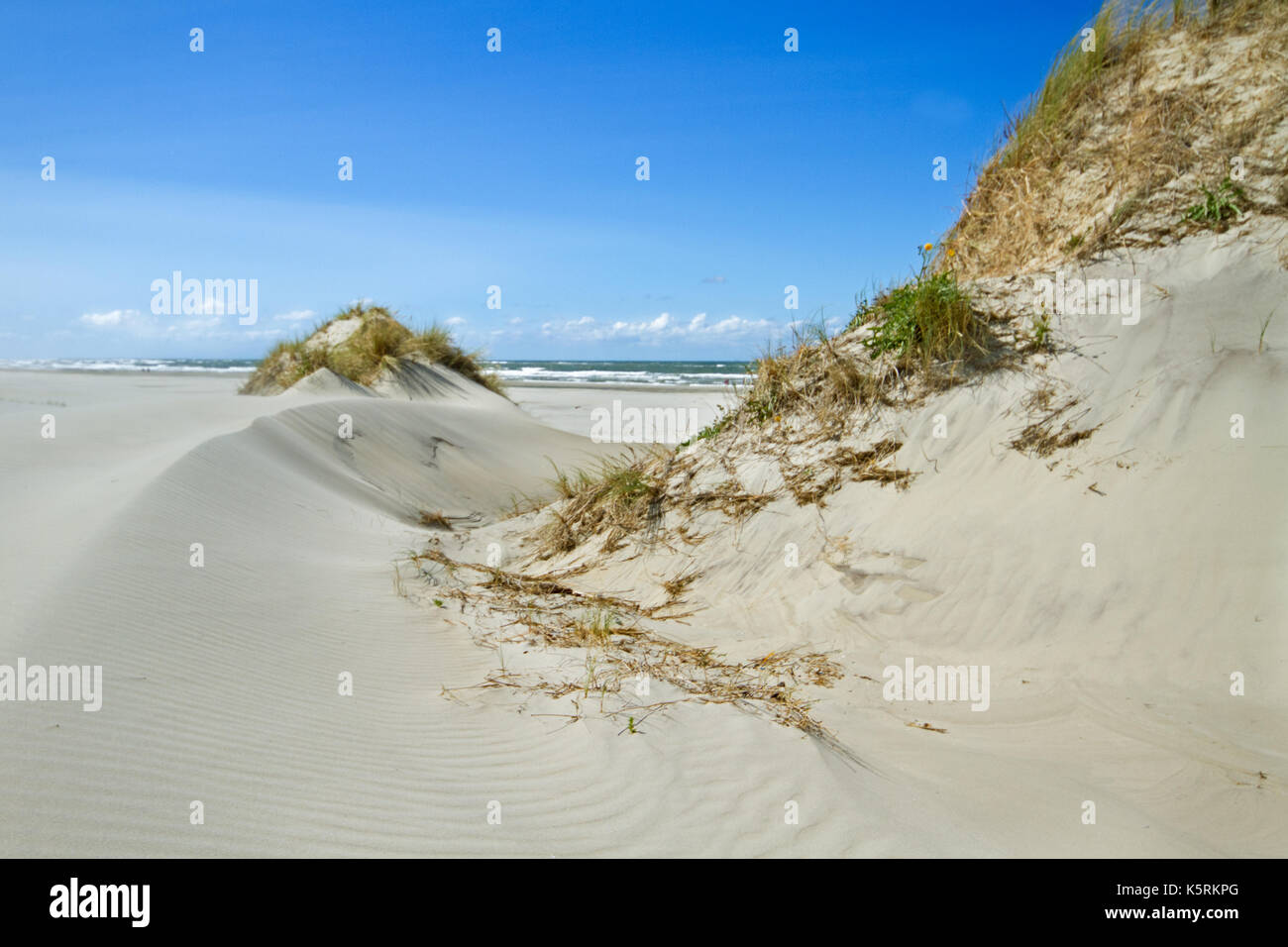 Windy dunes hi-res stock photography and images - Alamy