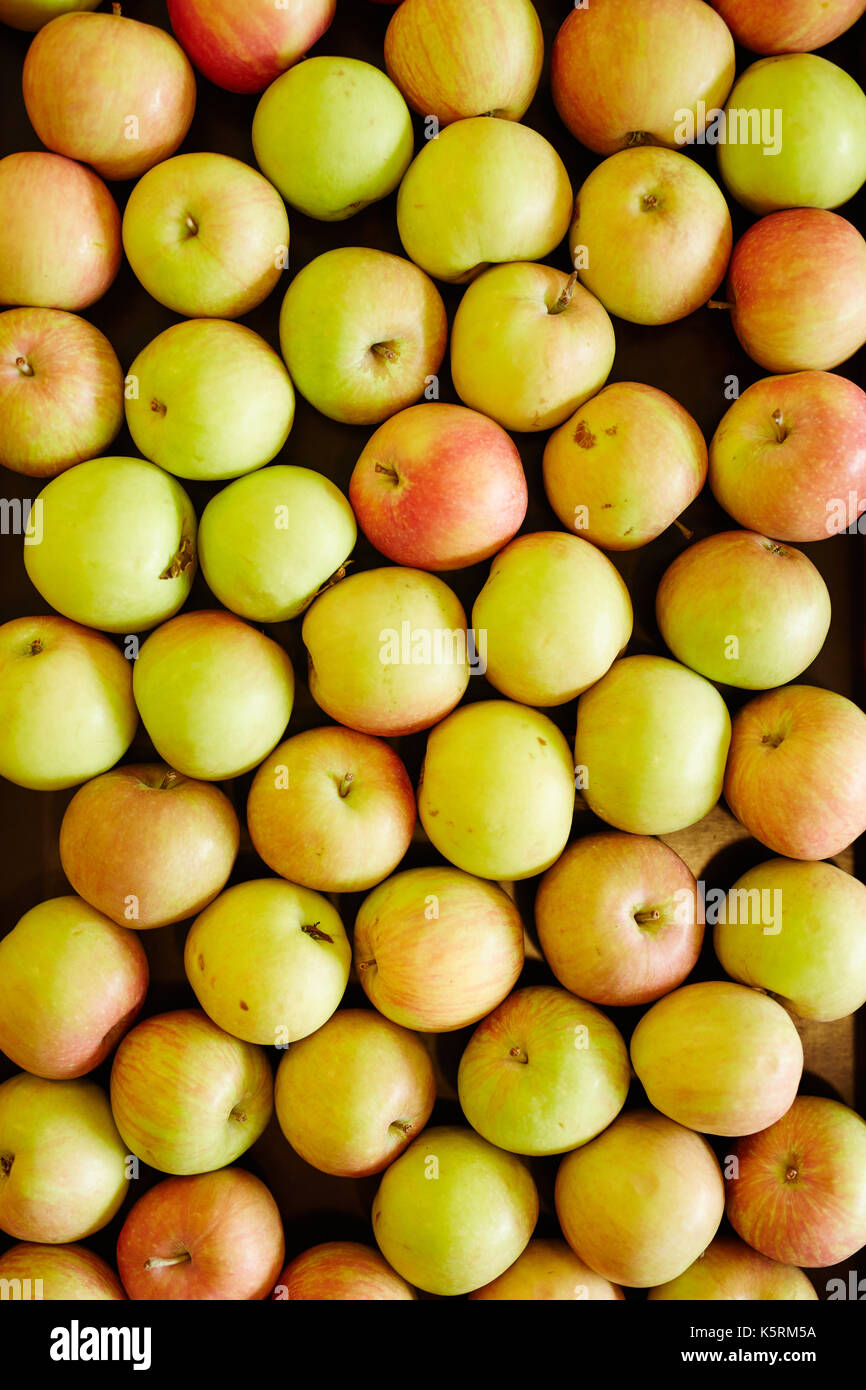 Fresh supermarket produce hi-res stock photography and images - Alamy