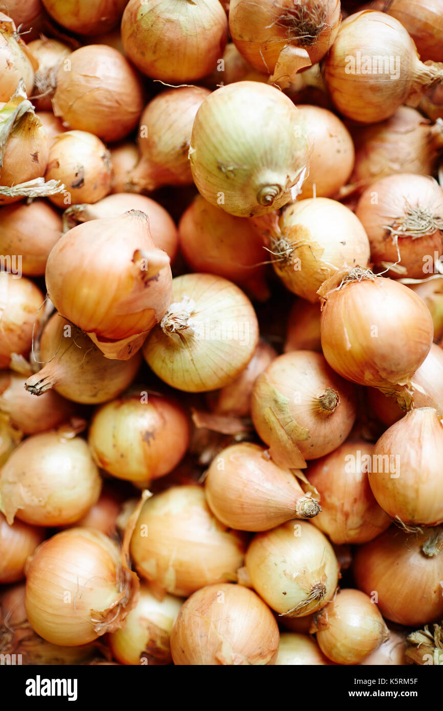 Onion produce hi-res stock photography and images - Alamy