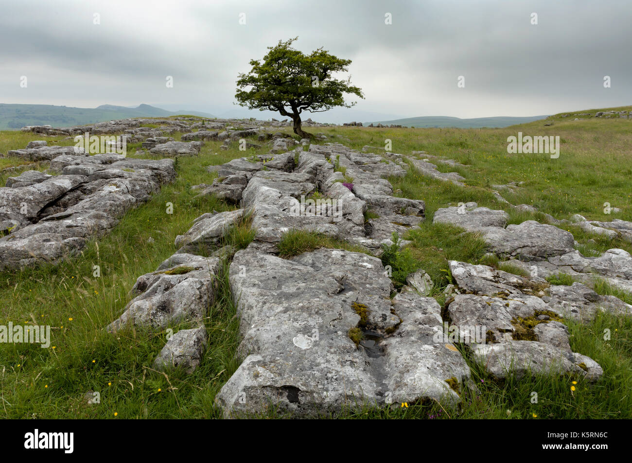 Winskill stones nature reserve hi-res stock photography and images - Alamy