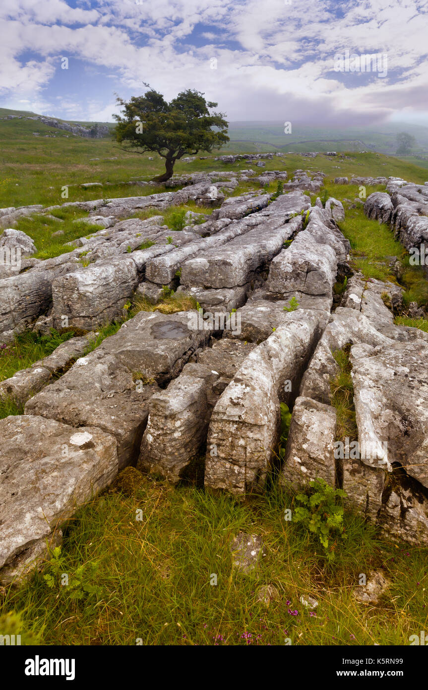 Winskill stones nature reserve hi-res stock photography and images - Alamy