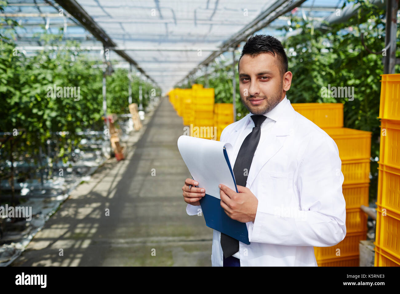 Carrying out Inspection at Greenhouse Stock Photo - Alamy