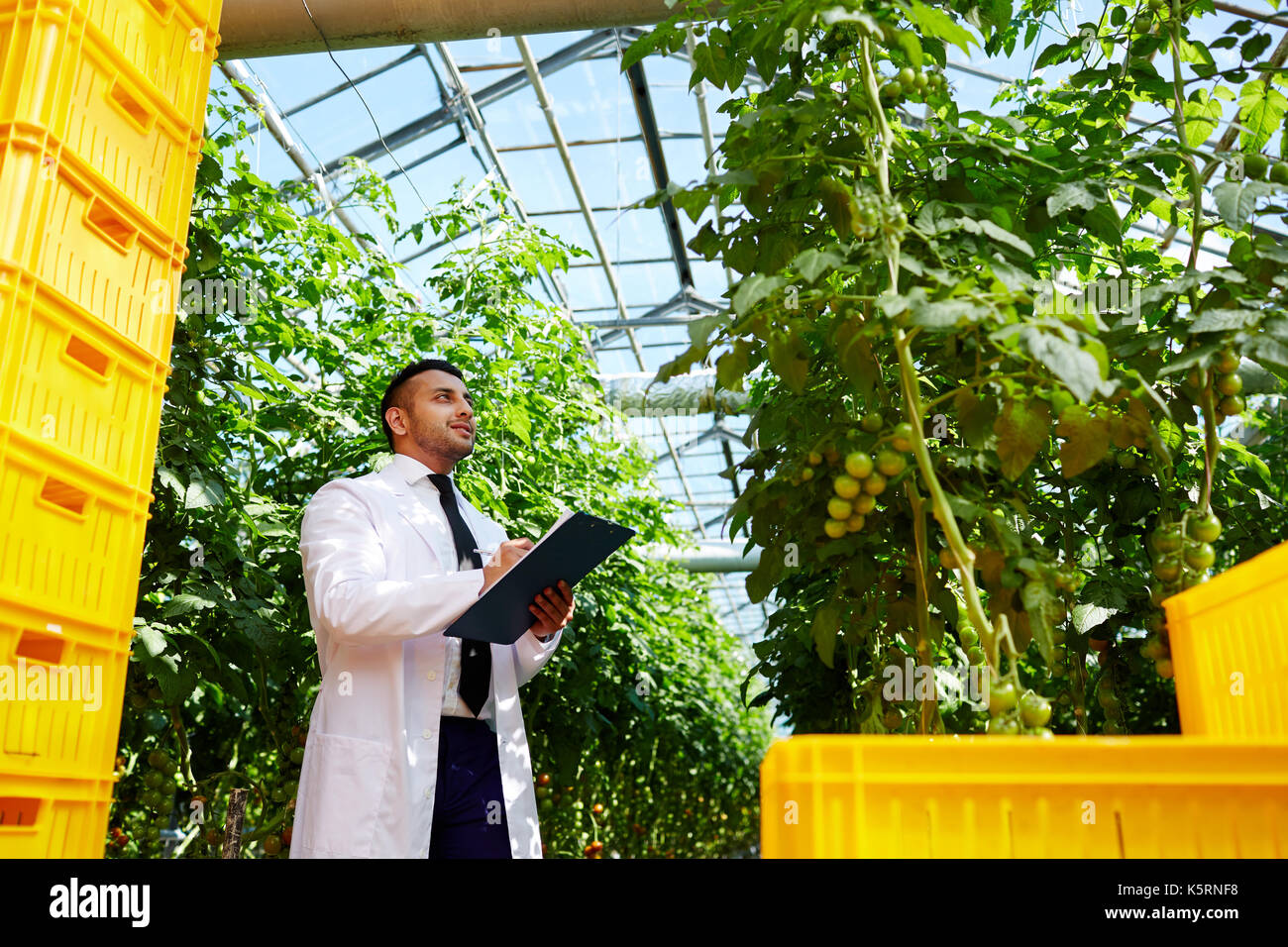 Agronomist inspection hi-res stock photography and images - Alamy