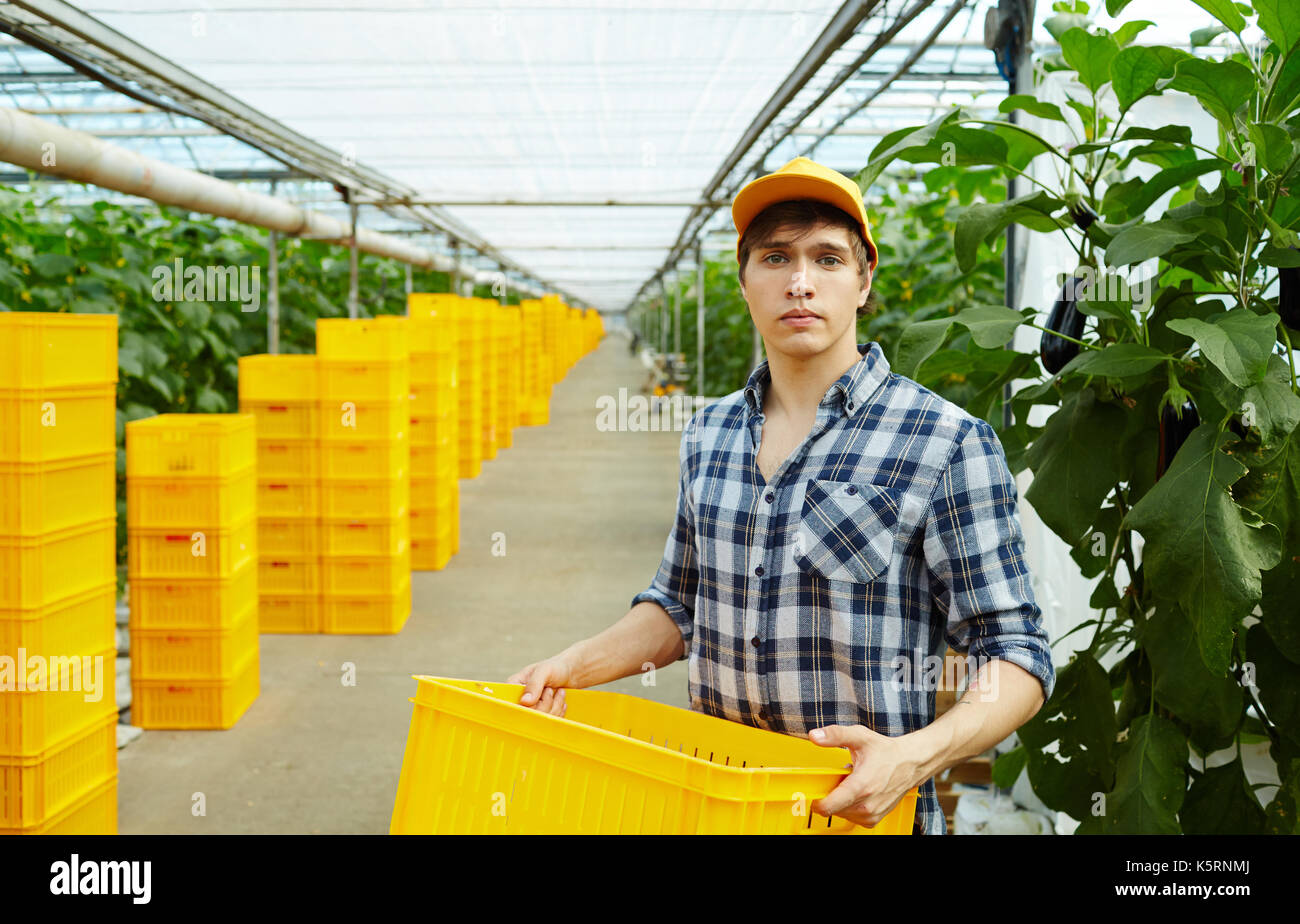 Young Farmer Harvesting Crops Stock Photo - Alamy